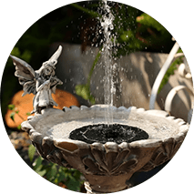 Water Gardens & - Free Shipping On Items Shipped From Temu