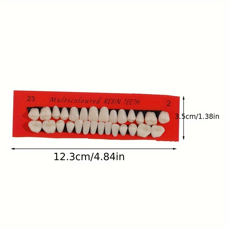 Dental Resin Teeth Model Kit Plastic Practice Tooth Set - Temu Canada
