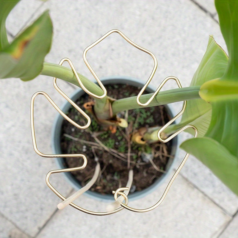 bamboo plant support sticks sold on Temu Australia