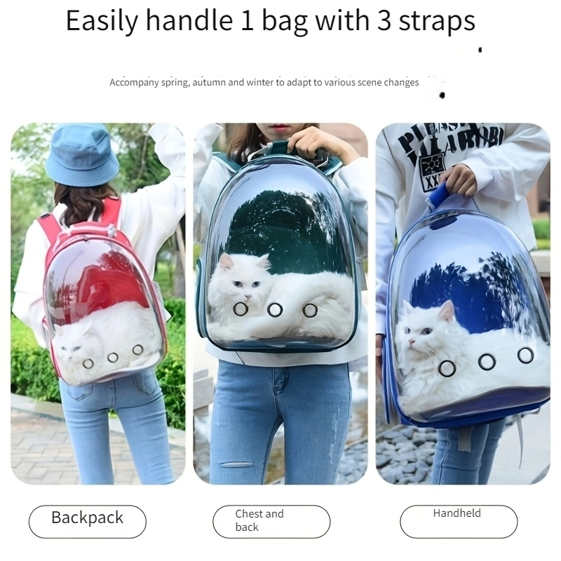 cat backpack sold on Temu United States
