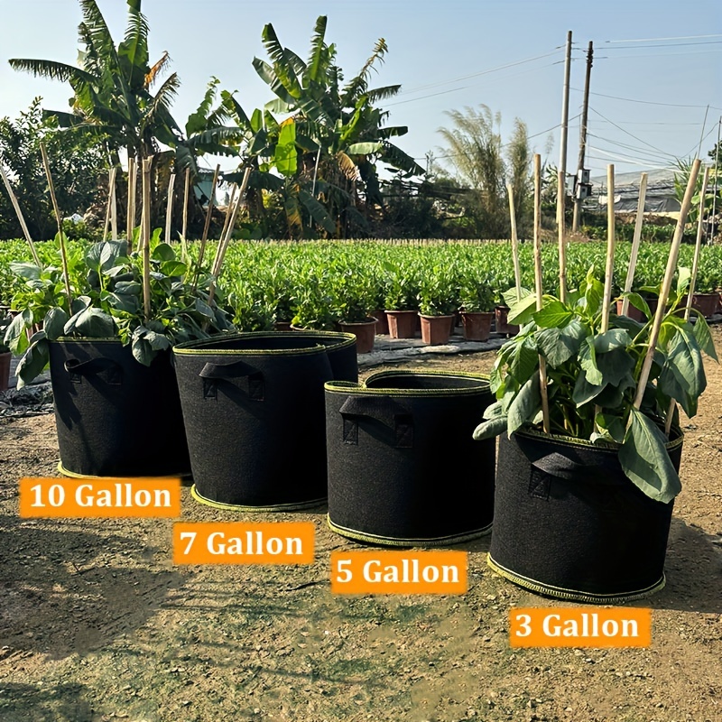 10 gallon nursery pots store