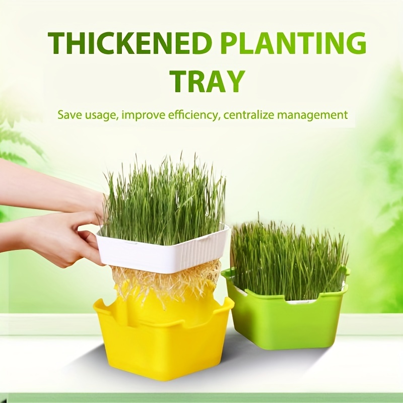 Multifunctional Bud Seedling Vegetable Seedling Plate - Temu Australia