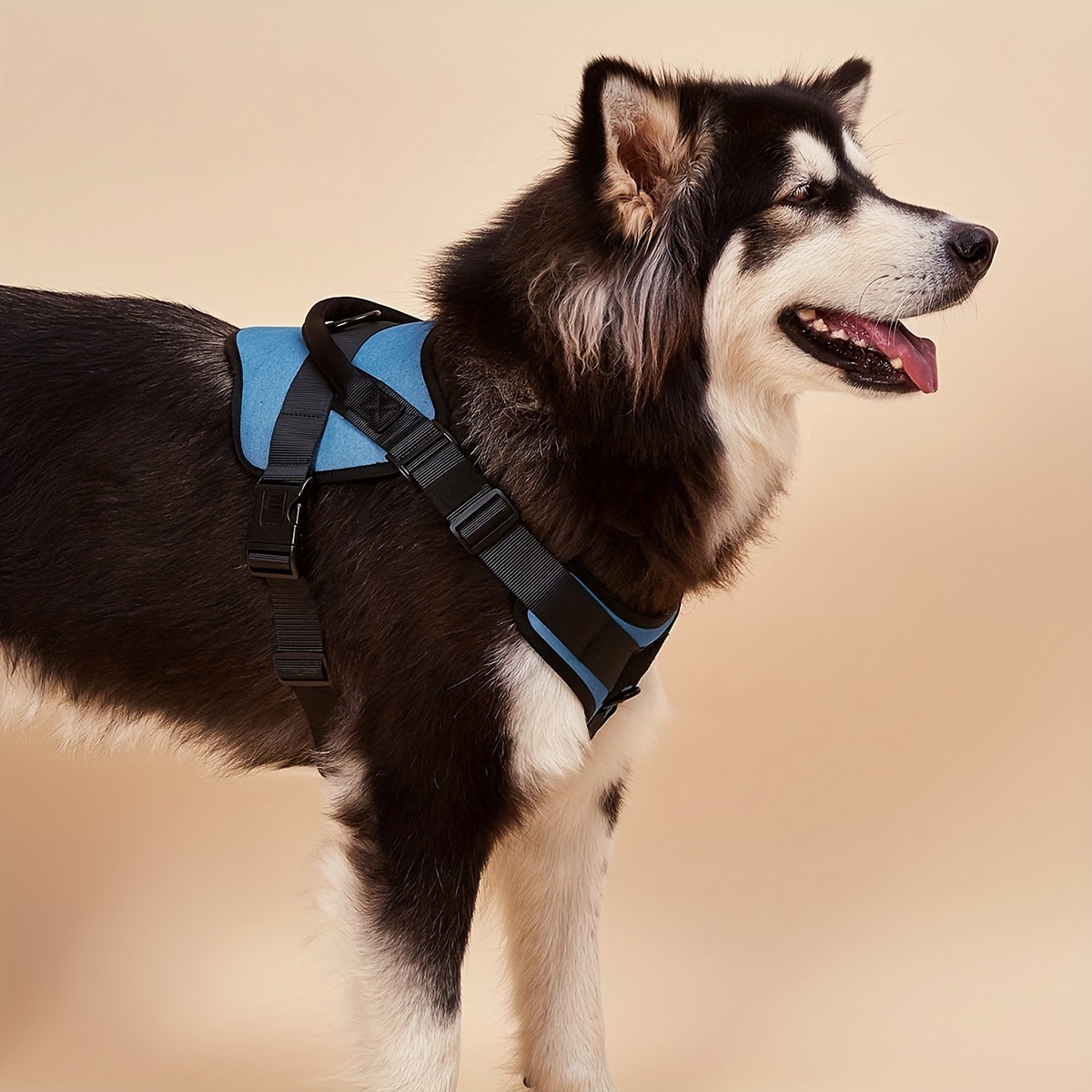 Dog Harness Adjustable Soft Padded Dog Vest Reflective No - Temu Canada