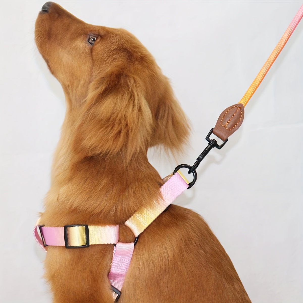 Temu | Explore the Latest Clothing, Beauty, Home, Jewelry & More