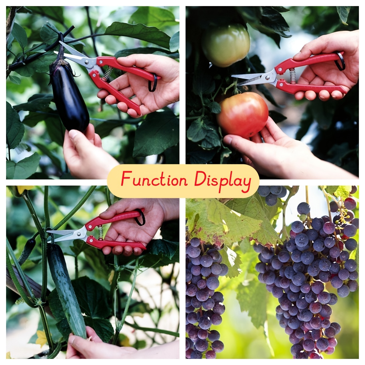 Bonsai Scissors: Multifunctional Stainless Steel Gardening - Temu