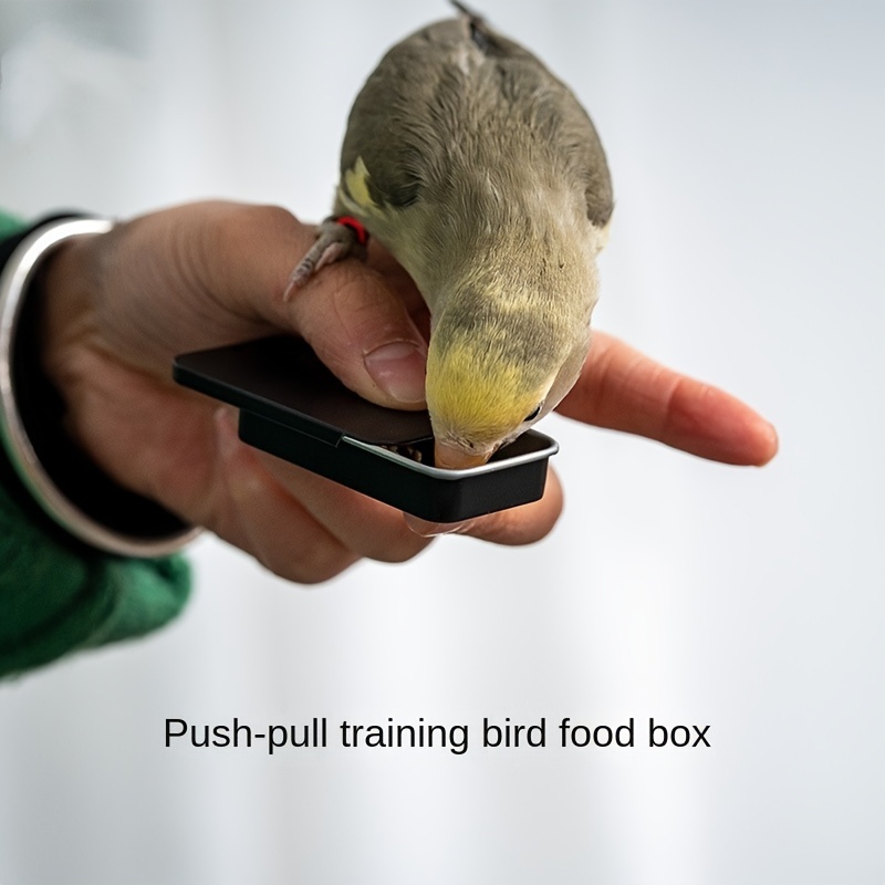 Handheld Parrot Training Feeding Box Outdoor Portable Bird - Temu ...