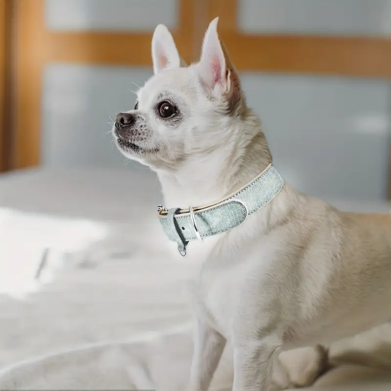 犬用首輪調整可能な首輪、小型、中型、大型犬用安全金属バックル付き Temu Japan