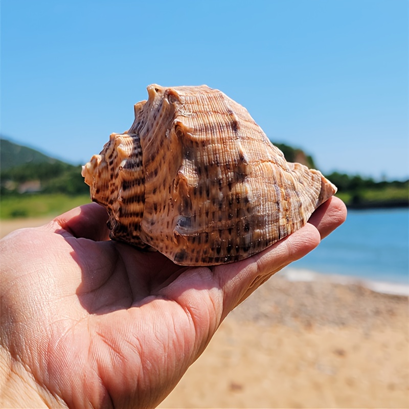 1pc Aquarium Decorative Resin Decoration Fish Tank Landscaping ...