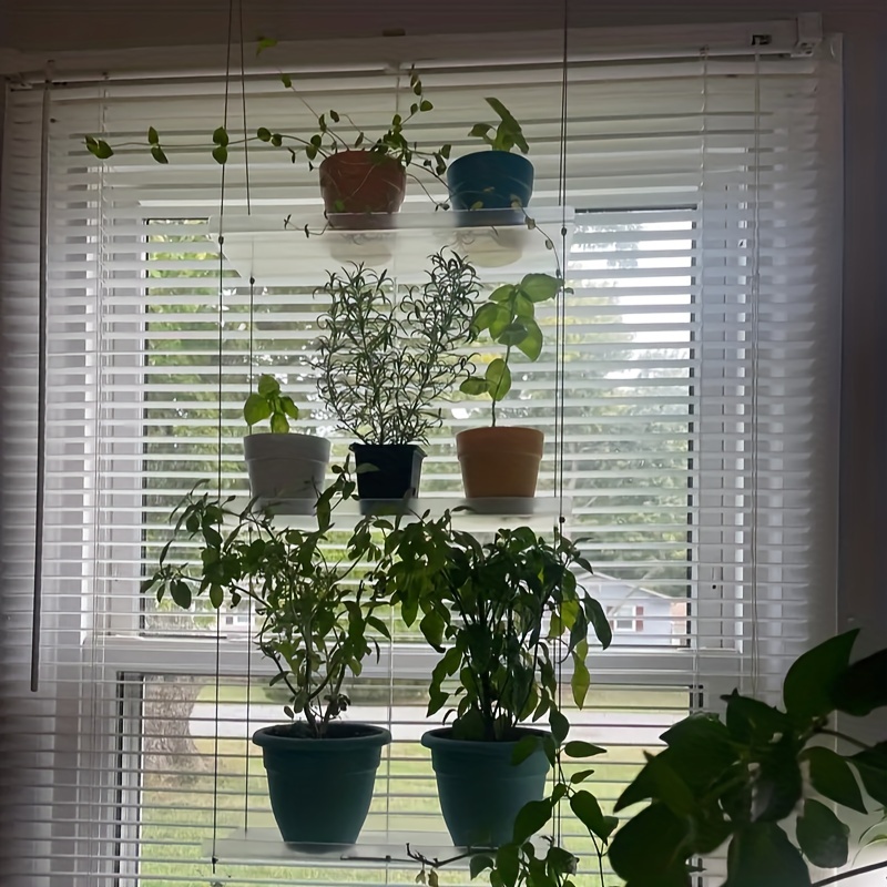 3 layer Clear Hanging Plant Shelves Beside Window Adjustable - Temu