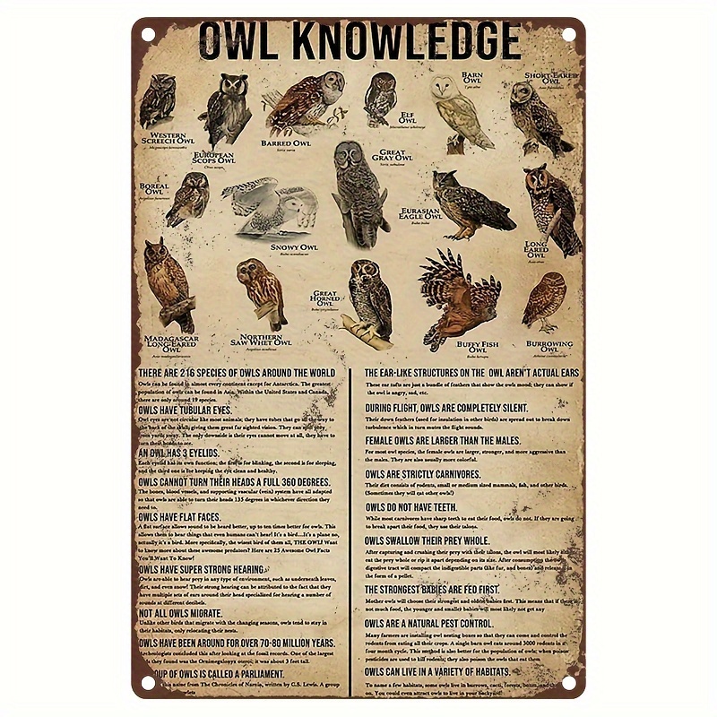 1 Stuk Uil Wijsheid Vintage Metalen Aluminium Bord Vintage - Temu ...