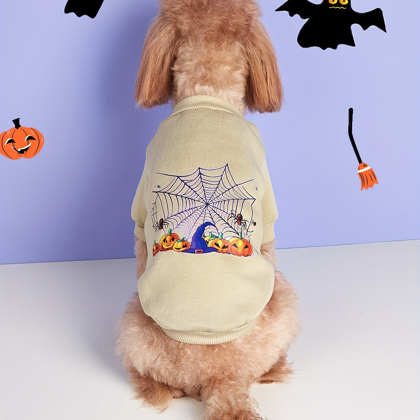 1pc Spider Web Witch Hat Pet For And Dog - - Temu Norway