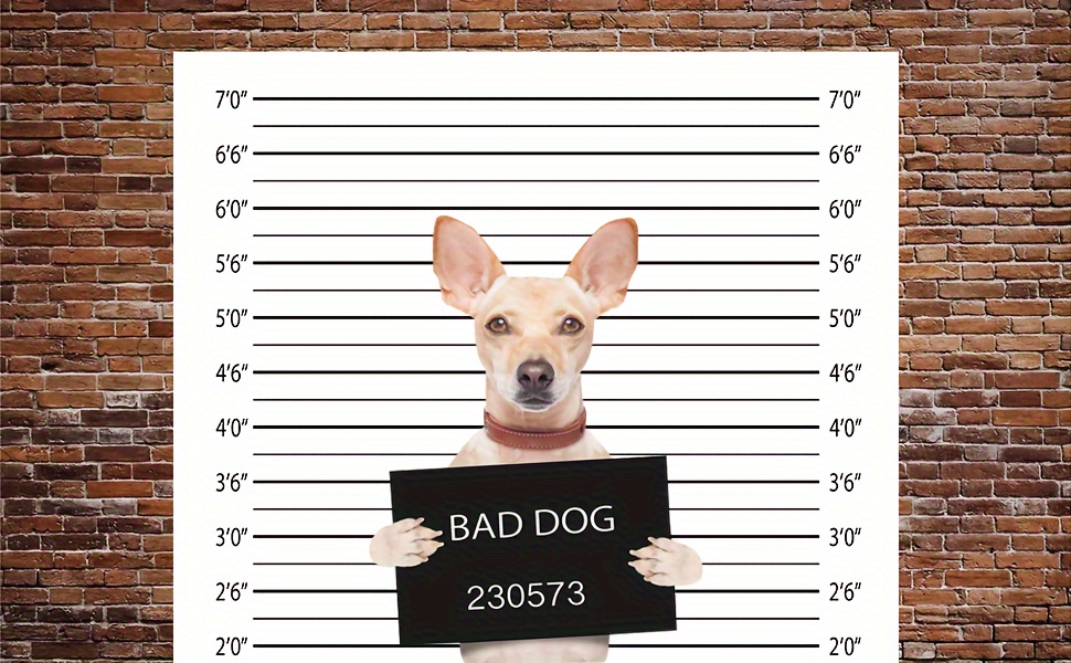 Brick Backdrop Police Lineup Height Charts Photo - Temu