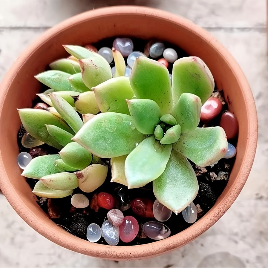 Large Mix Agate Nature Stones Crystal Tumbled Chips Gemstone - Temu ...