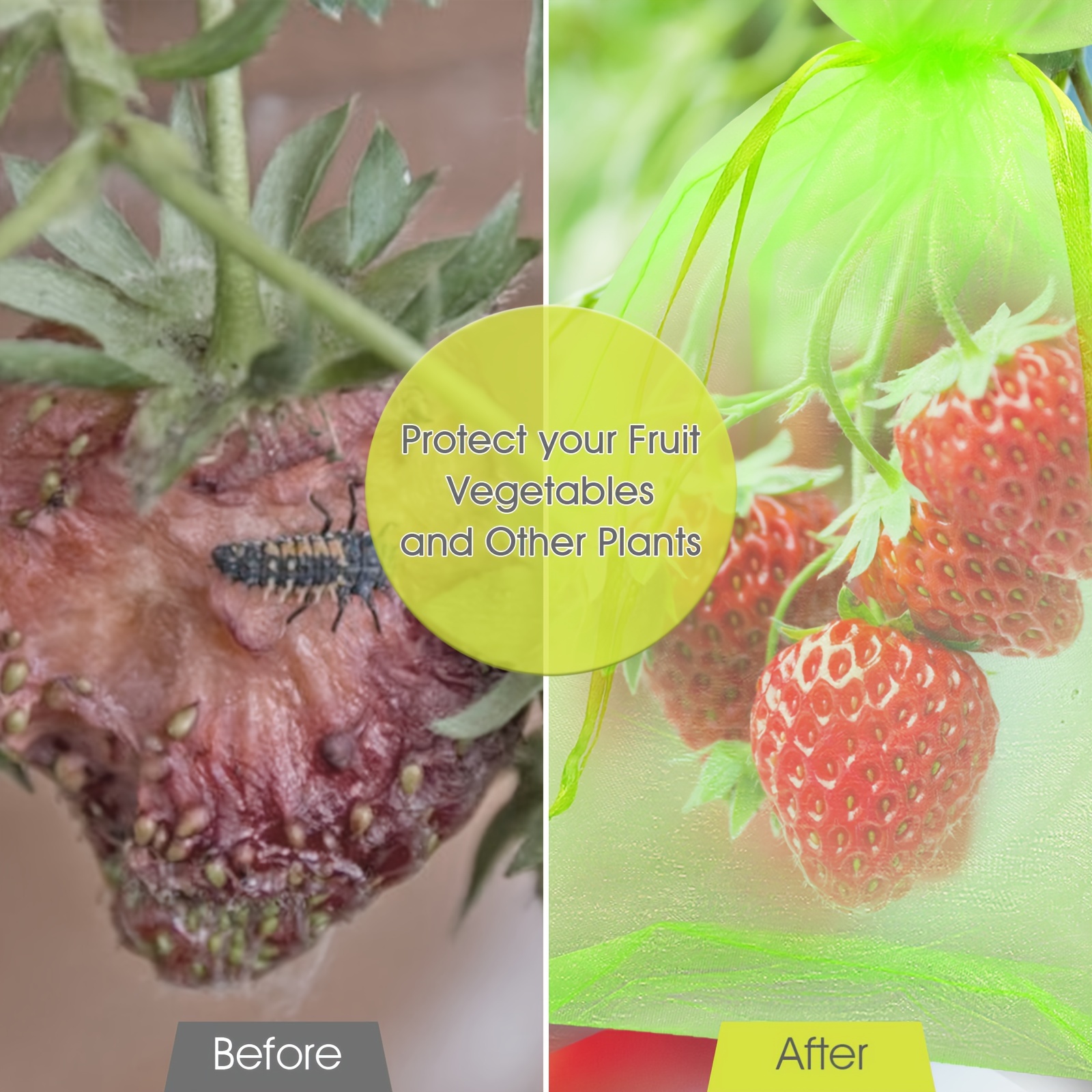 100pcs Fruit Protection Bag Fruit Netting Bags For Fruit Trees Fruit ...