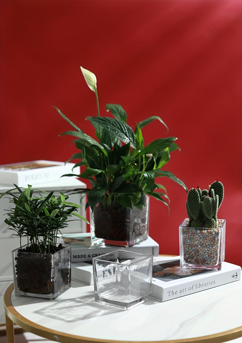 Glass Fish Tank Glass Flower Pot Square Tank Simple - Temu Australia