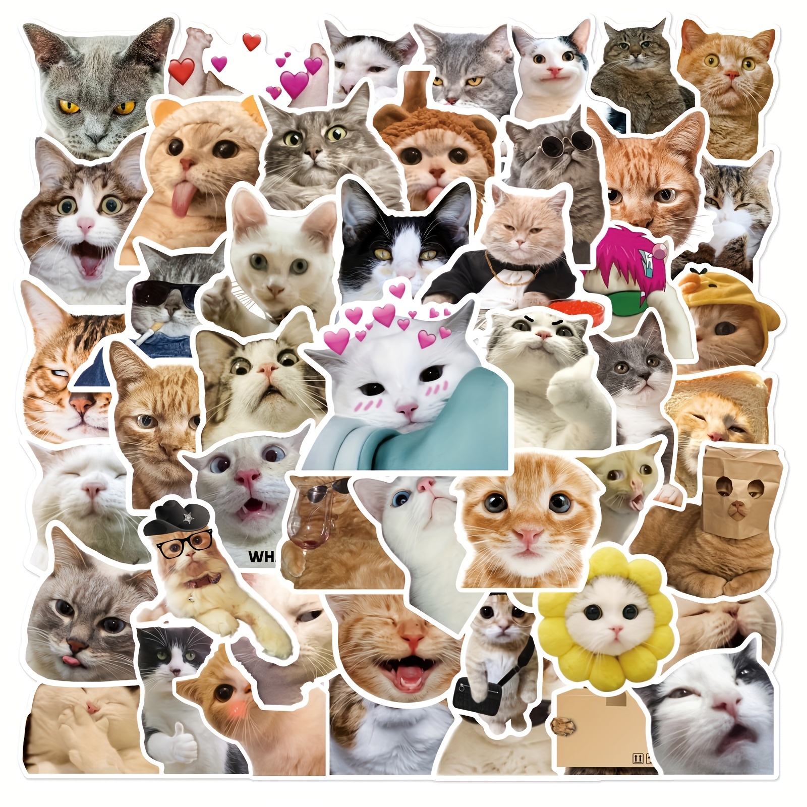 50pcs cute funny cat series graffiti sticker suitable - Temu United ...