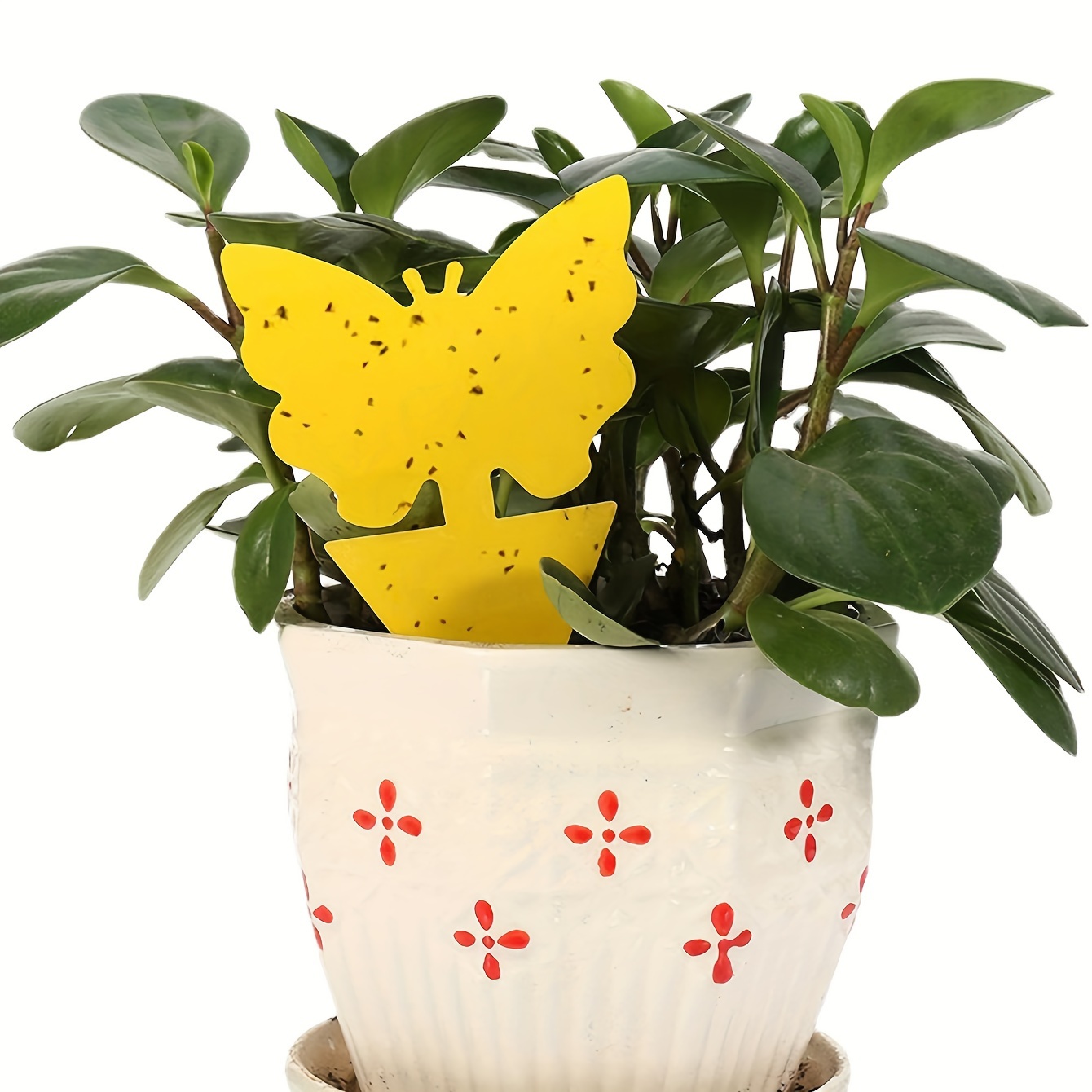 Double sided Gardening Flower Grass Sticky Insect Board - Temu New Zealand