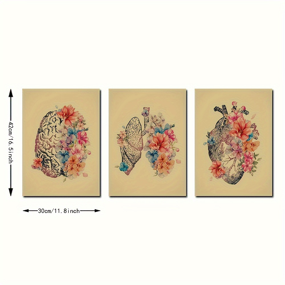 3pcs Set Unframed Vintage Kraft Paper Print Posters Human Brain Heart ...