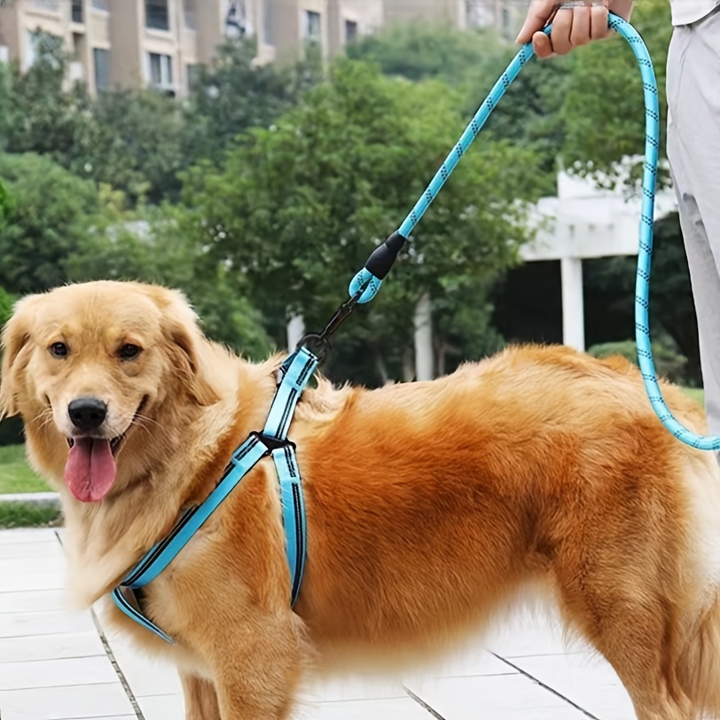Reflective Striped Dog Leash Comfortable Padded Handle Heavy - Temu ...
