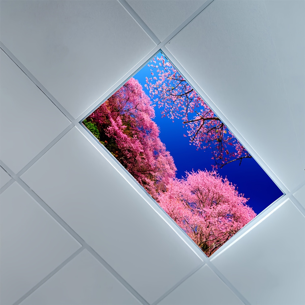 Fluorescent Light Diffuser Panels | Shelly Lighting