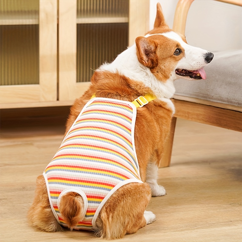 Dog Striped Pantie Reusable Panties Pet For | Temu Temu