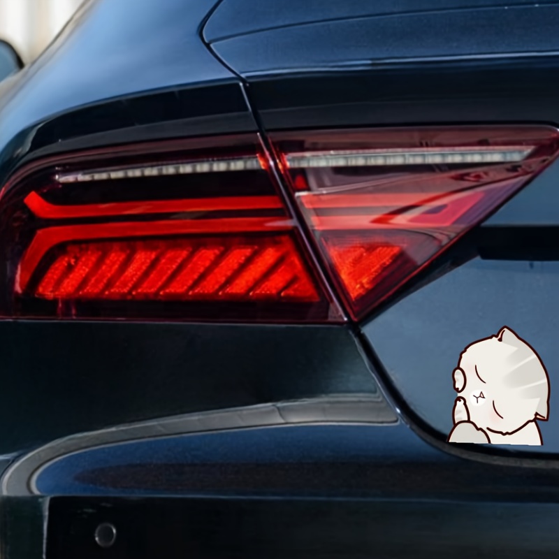 子猫の寝姿 車 かわいい バンパーステッカー ステッカー 電気自動車カバー ボディステッカー Temu Japan
