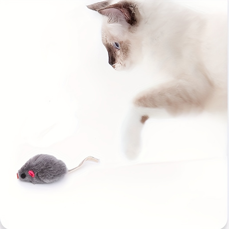 2pcs Decoración Plumas Varita Campana Juguetes Gatos - Temu Mexico