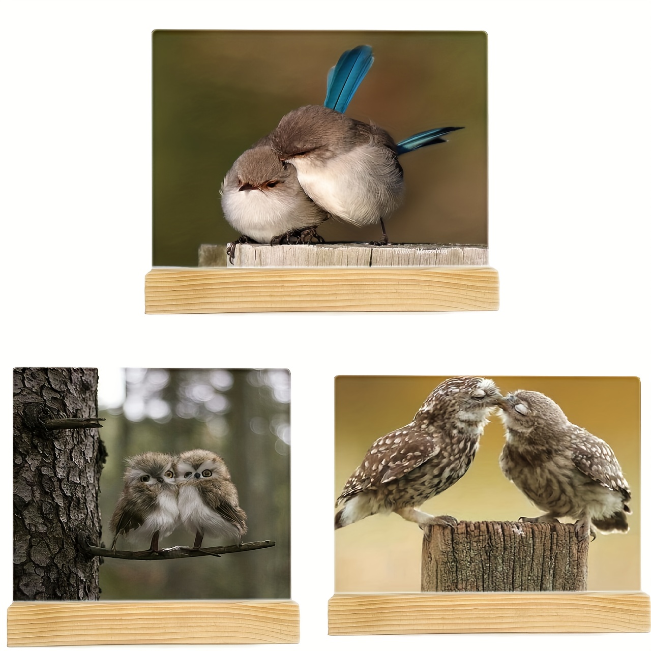 Acrylic Plaque Wooden Base Art Craft Decoration Gifts - Temu Australia