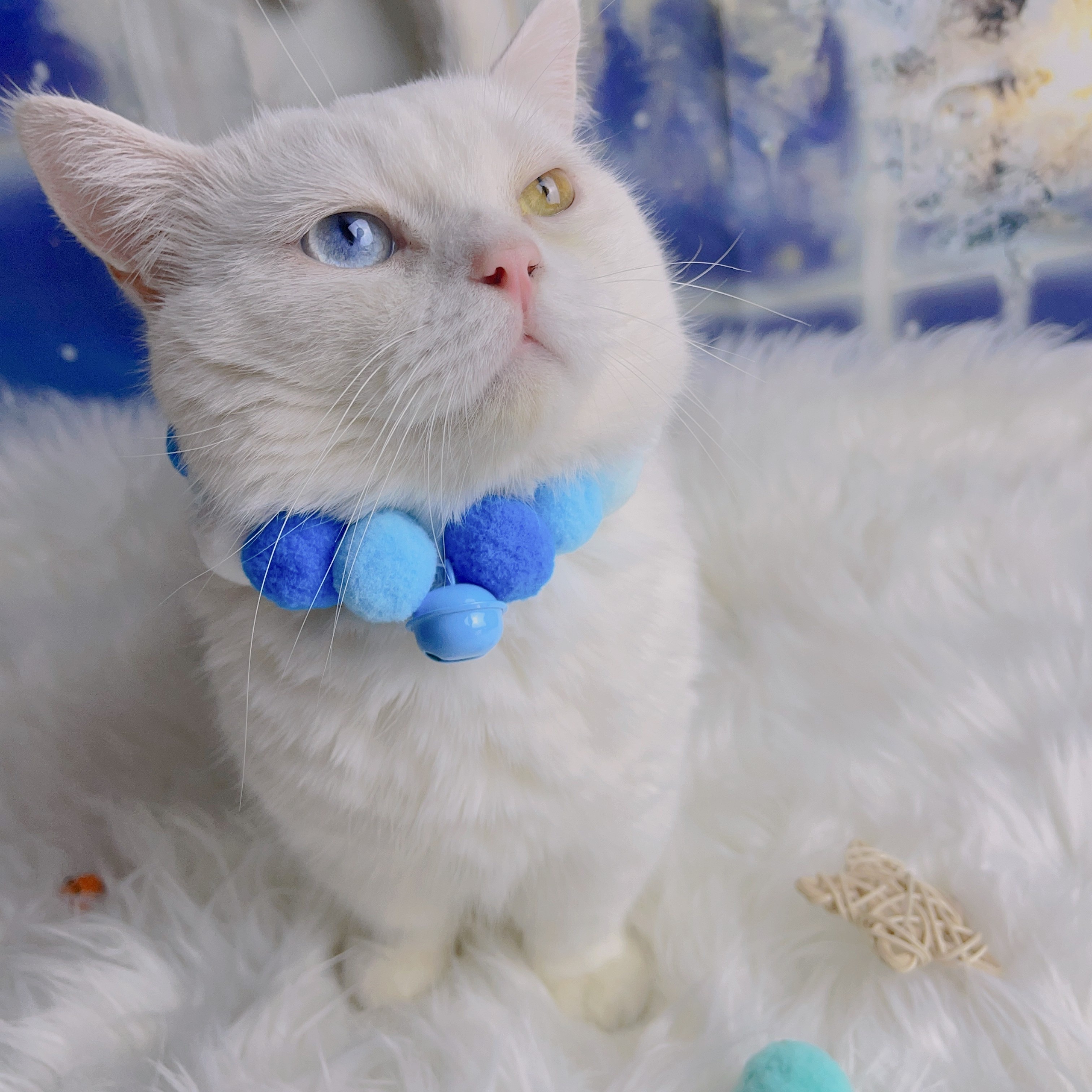 Cute Cat Collar Silent Elastic Colorful Plush Ball Small Dog - Temu ...