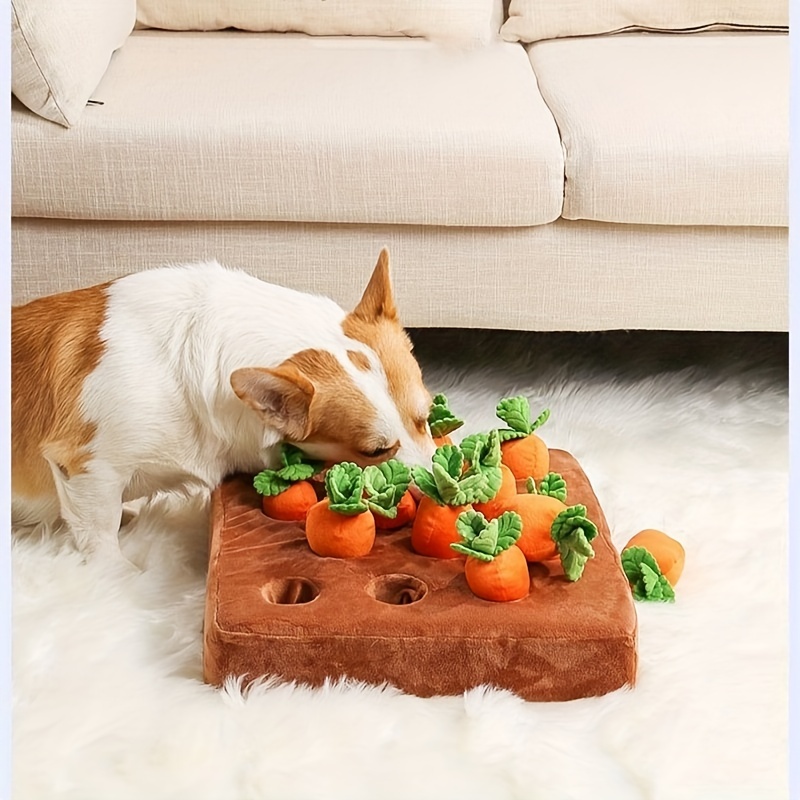 Temu | Explore the Latest Clothing, Beauty, Home, Jewelry & More