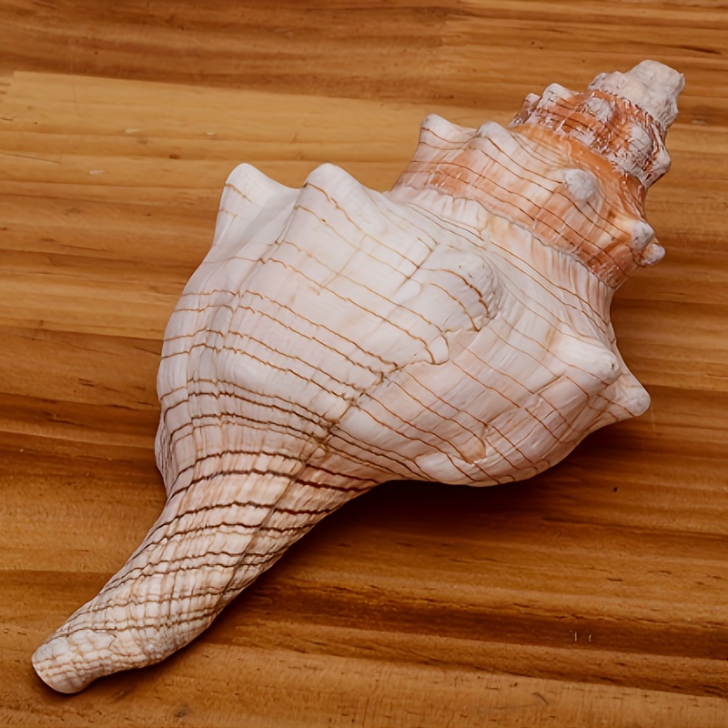 1pc Resin Conch Shell For Aquarium Fish Tank Landscaping Decoration ...