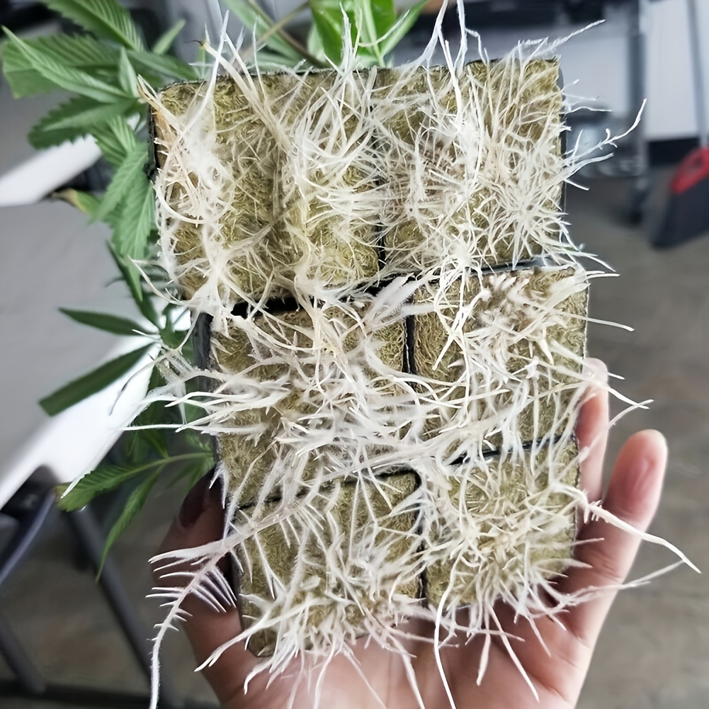 Temu | Explore the Latest Clothing, Beauty, Home, Jewelry & More