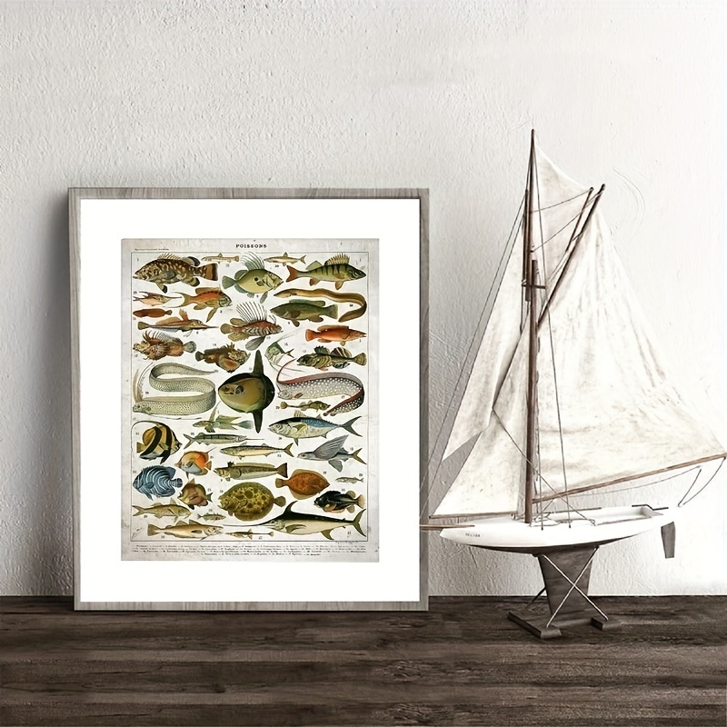 Vintage Fish Poster French Version Poisson Prints Retro Fish - Temu