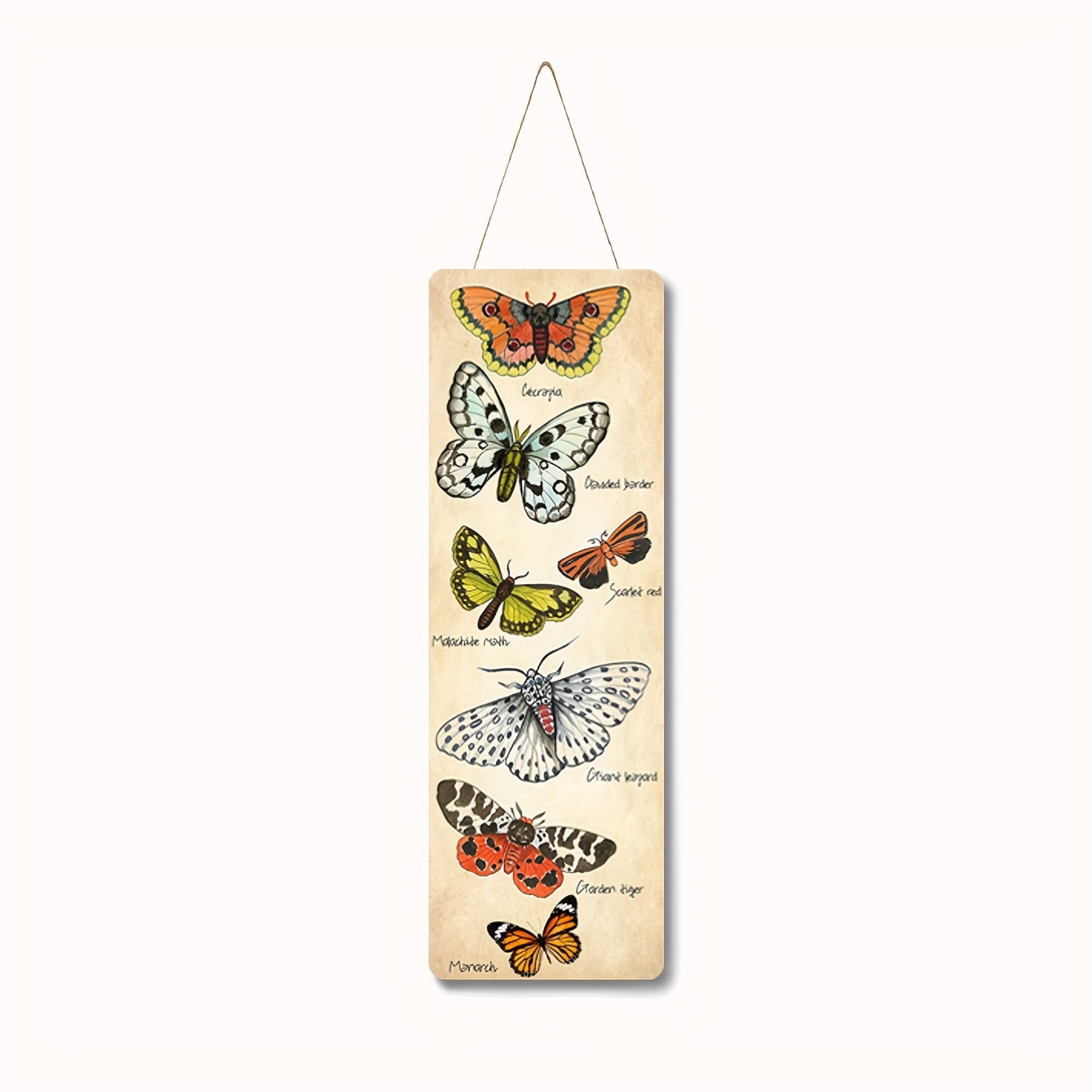 Butterfly Home Wall Decor Sign Vintage Wall Art Colorful - Temu United ...