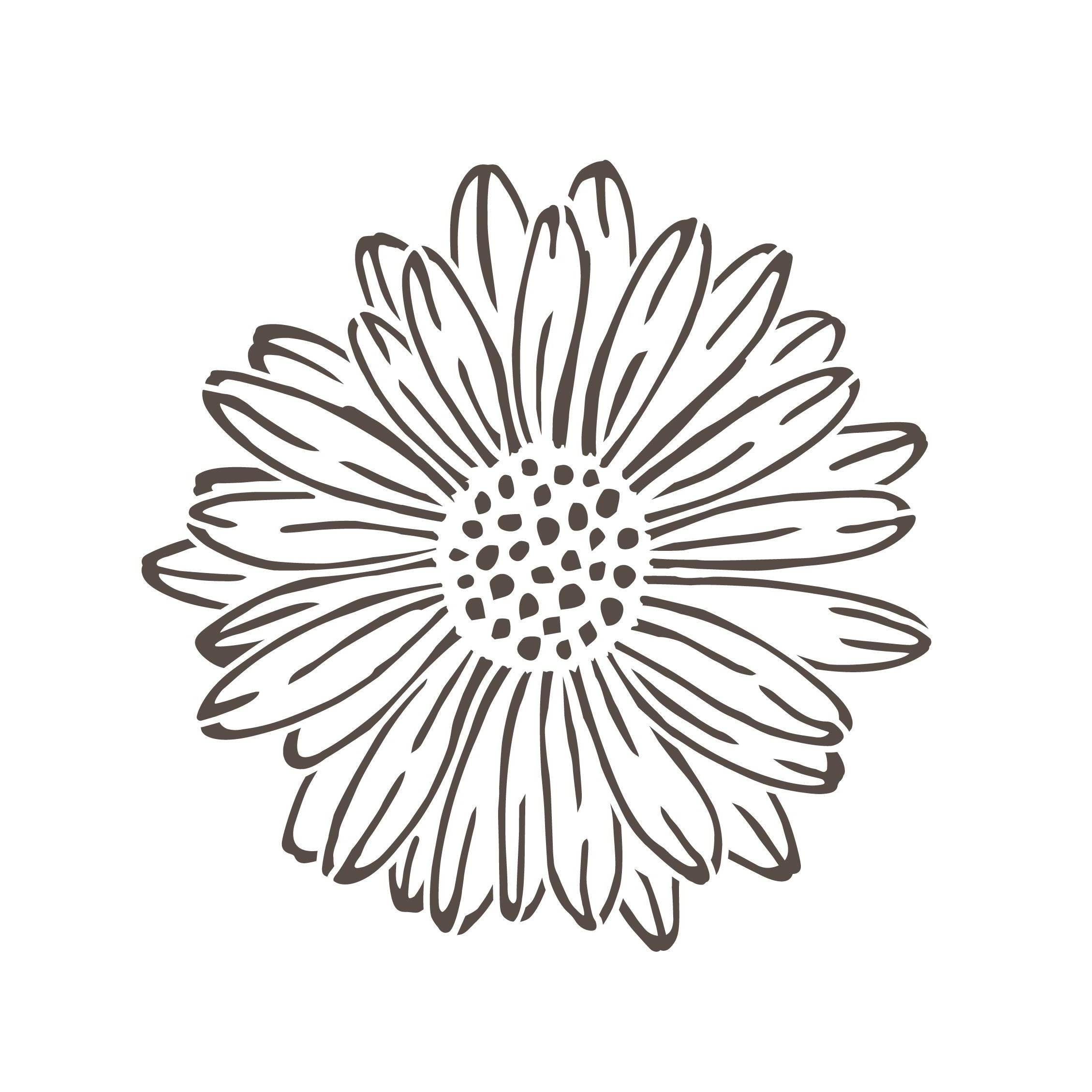 Daisy Flower Outline Template | Best Flower Site