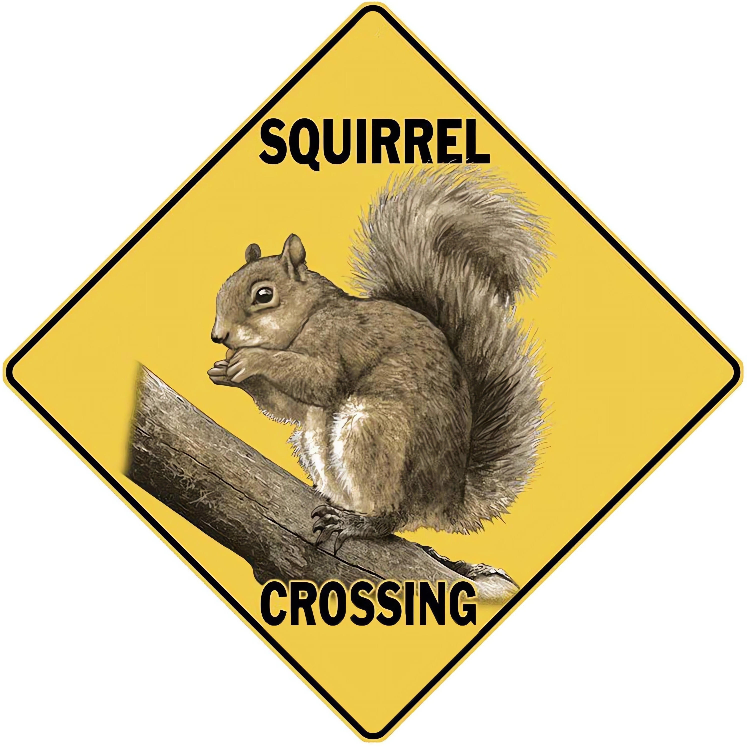 Squirrel Xing Crossing Sign, Chipmunk Crossing Sign, Warning Metal Tin ...