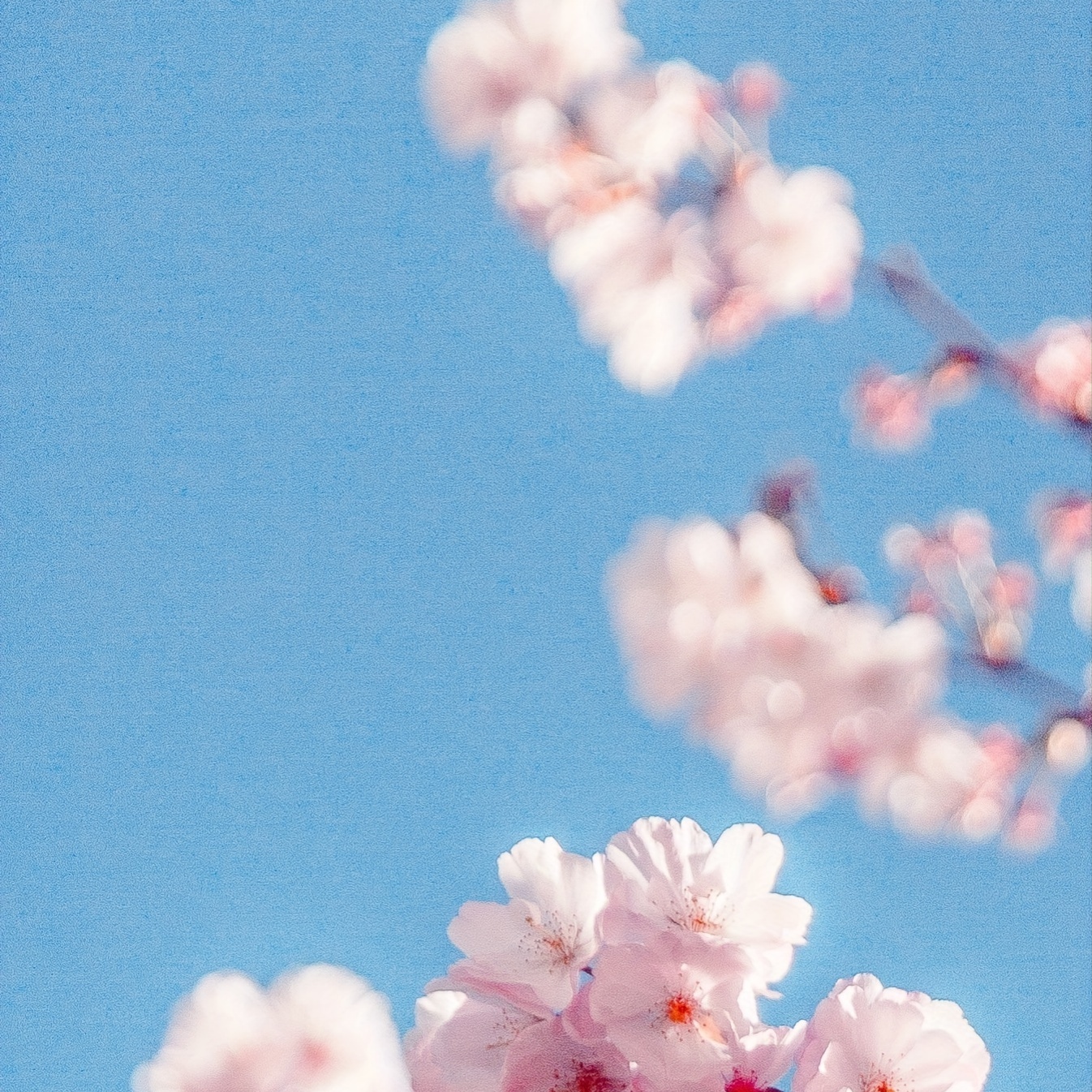 Custom-size Table 2 - Temu