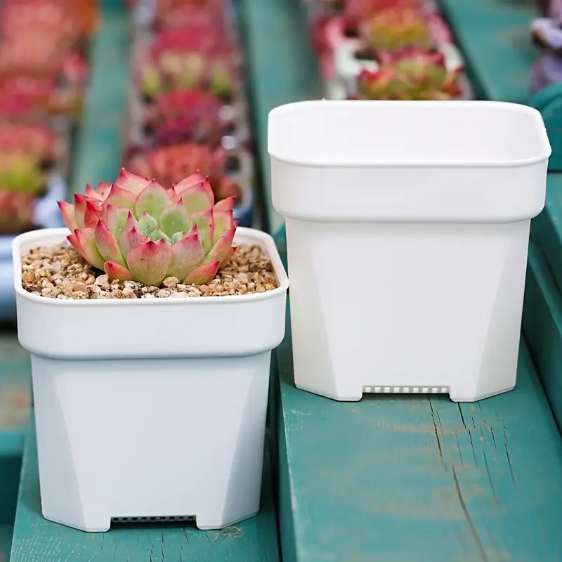 5個、厚みのあるつや消し 、植物鉢植え正方形、排水穴付き、すべての観葉植物、多肉植物、花、ハーブ、アロエ用の屋内および屋外の庭の植物用