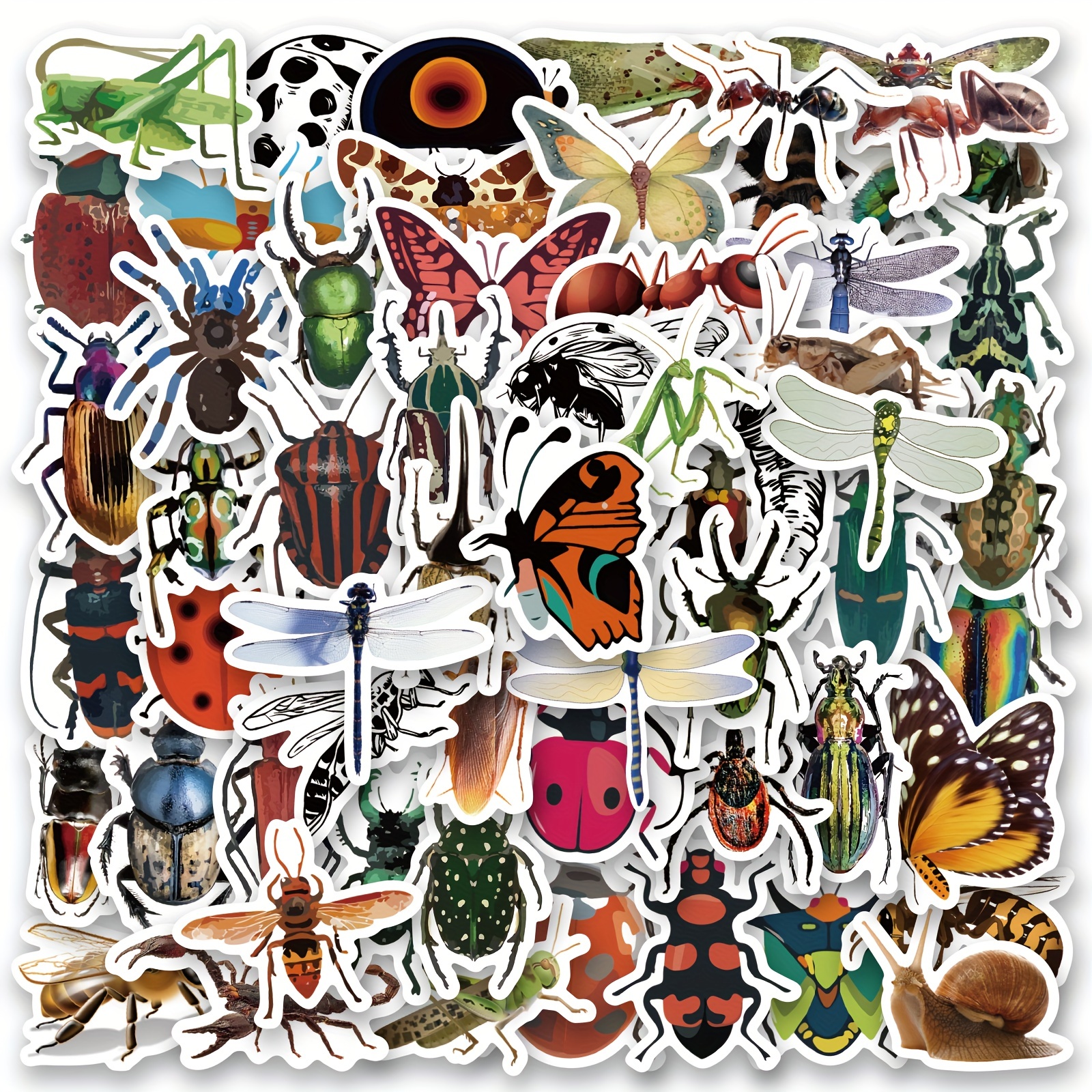 Insects Stickers, Butterfly Stickers For Teens Girls Boys Waterproof ...