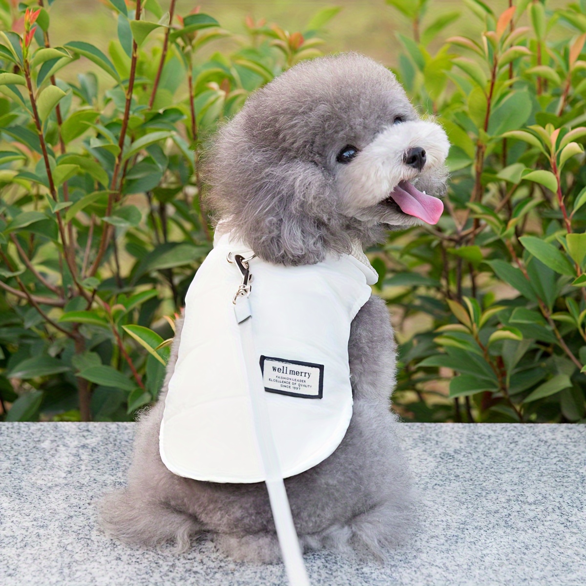 1pc ペットキャットベスト、ペットスリーブレスクローズ、通気性のある犬のベスト、短袖ベスト、小型犬と猫用 Temu Japan
