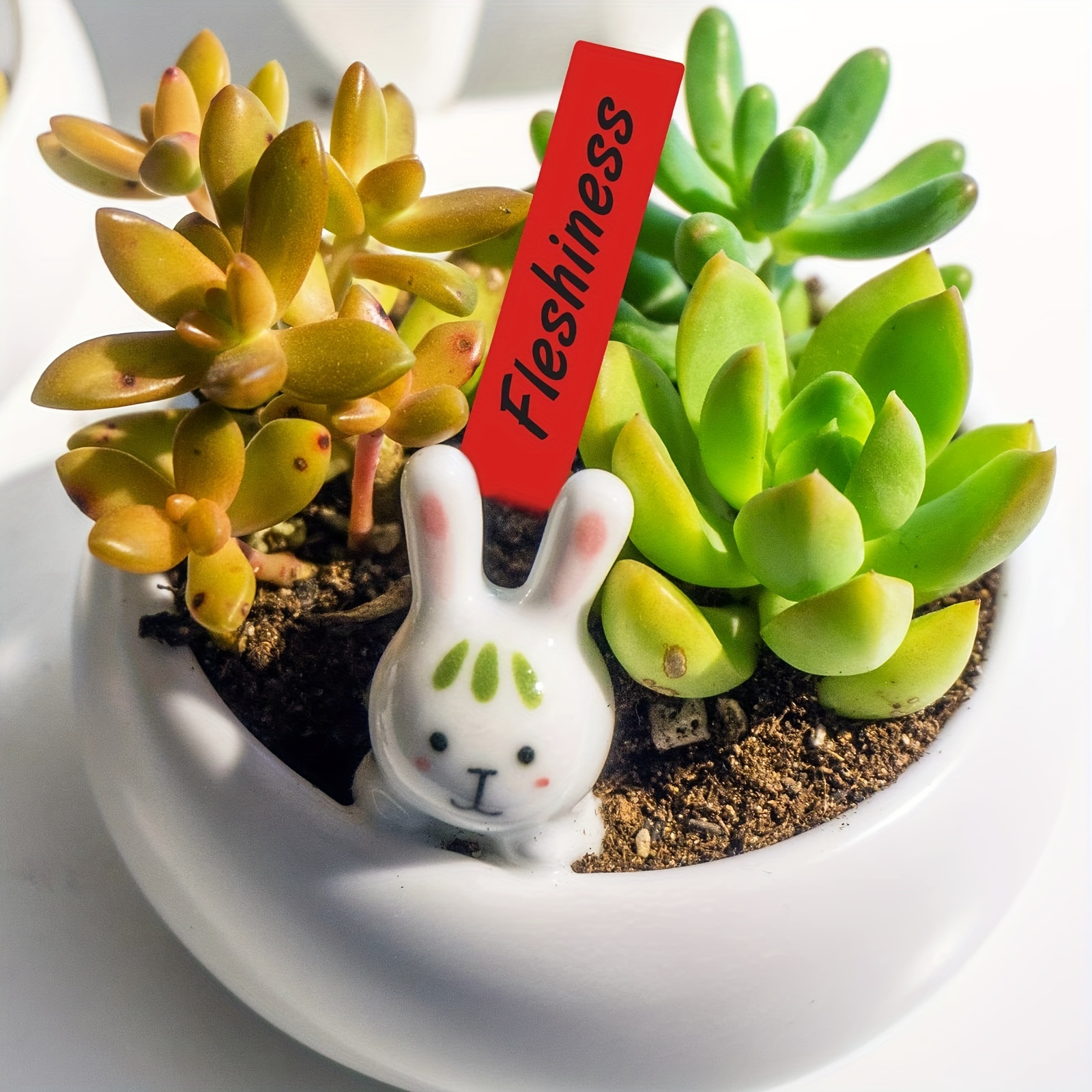 120 Komada, Oznake Za Biljke Od 4 Inča, Oznake Za Vrt, Oznake Za ...