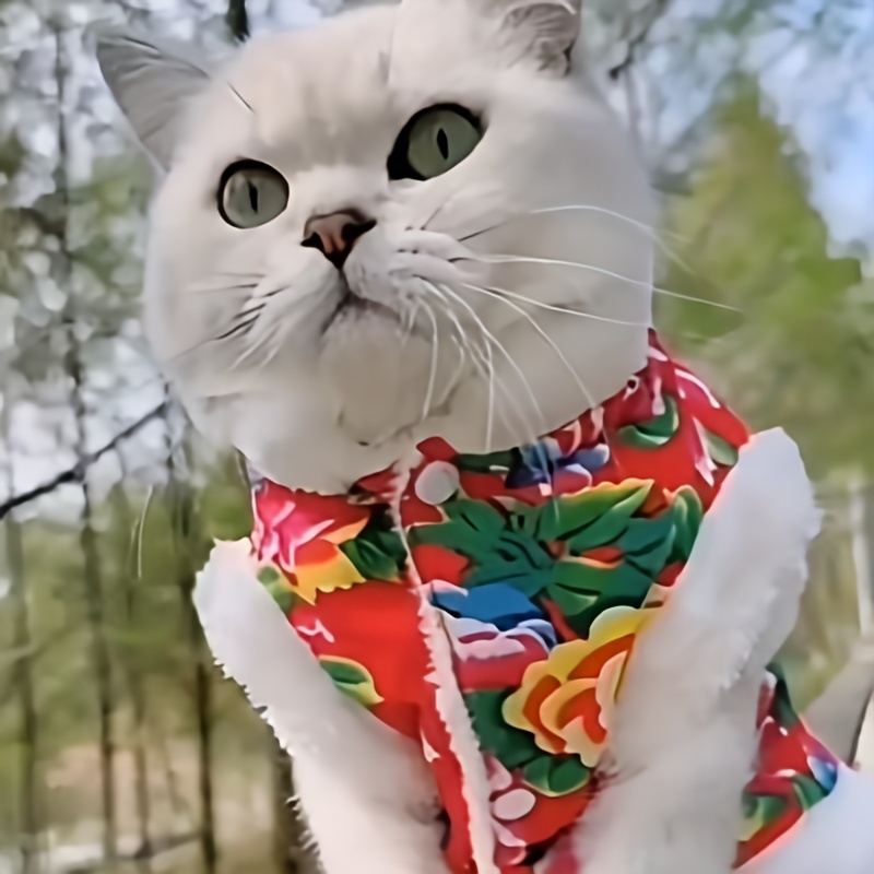 Cat Pet | Temu Australia