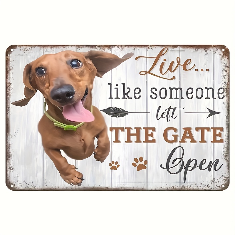 Live Like Someone Left The Gate Open Dachshund Dogvintage Tin Sign ...