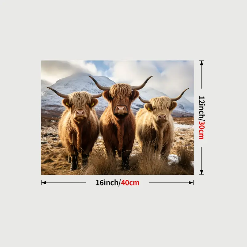 1pc Framed Animal Canvas Print Poster Highland Cattle Canvas Wall Art ... 1pc Framed Animal Canvas Print Poster Highland Cattle Canvas Wall Art ...