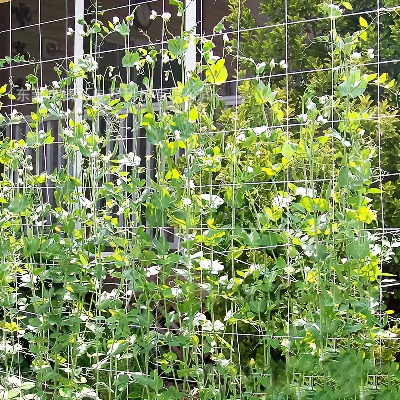 トレ 1パック 耐久性のある庭用栽培ネット 高耐久ナイロン ネット つる植物のつる用に設計 Temu Japan