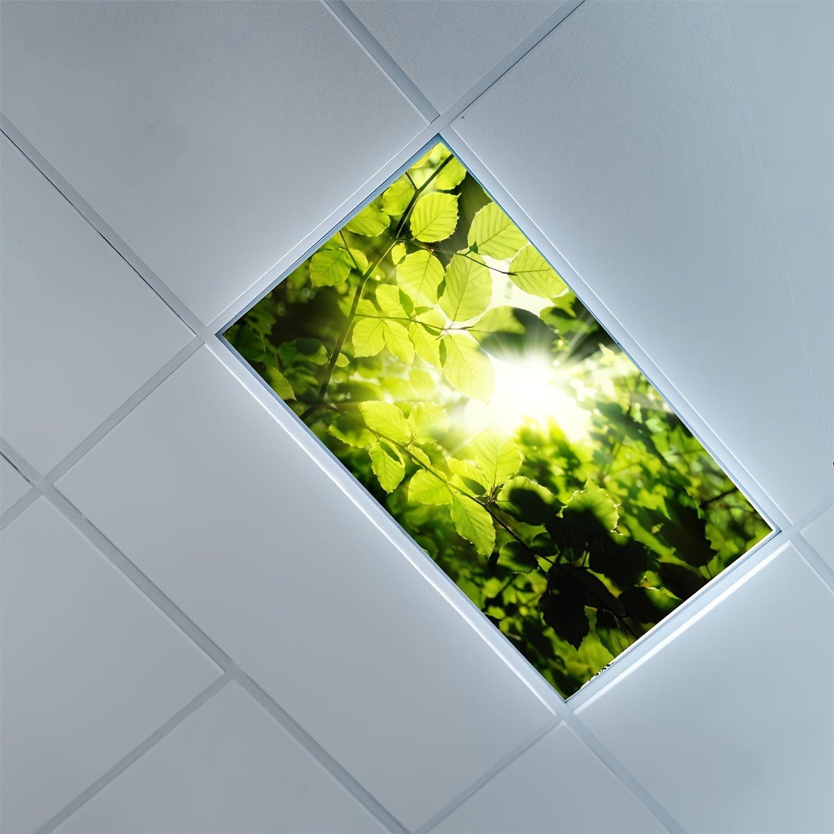 Parabolic Fluorescent Light Diffusers | Shelly Lighting