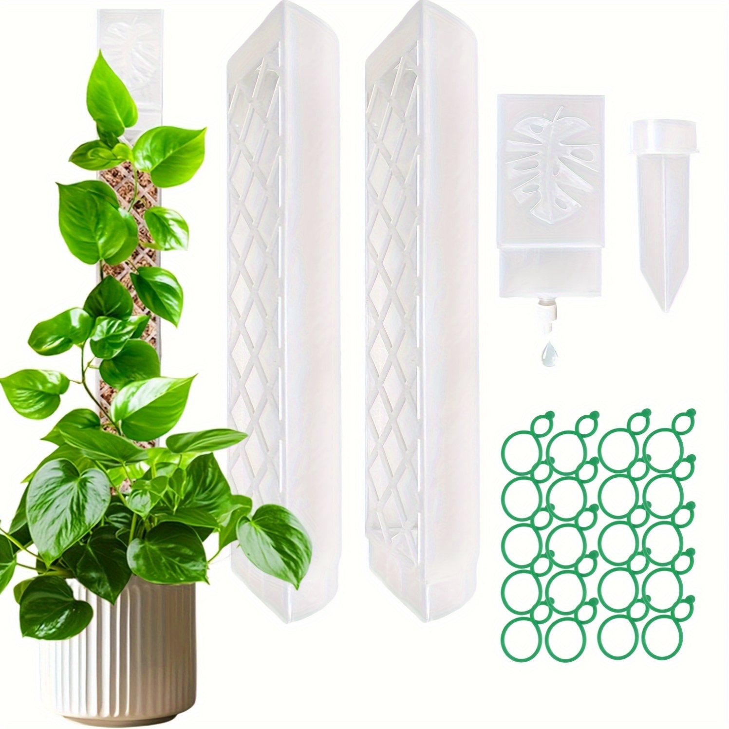 plant support - United Kingdom