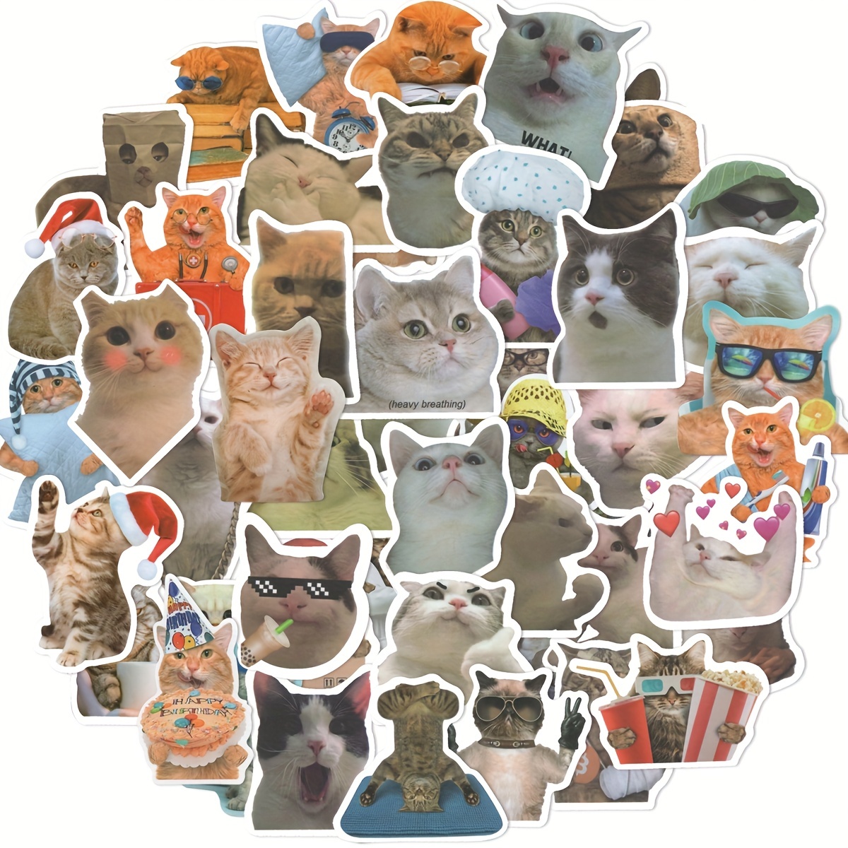 Fat Cat Memes Heavy Breathing