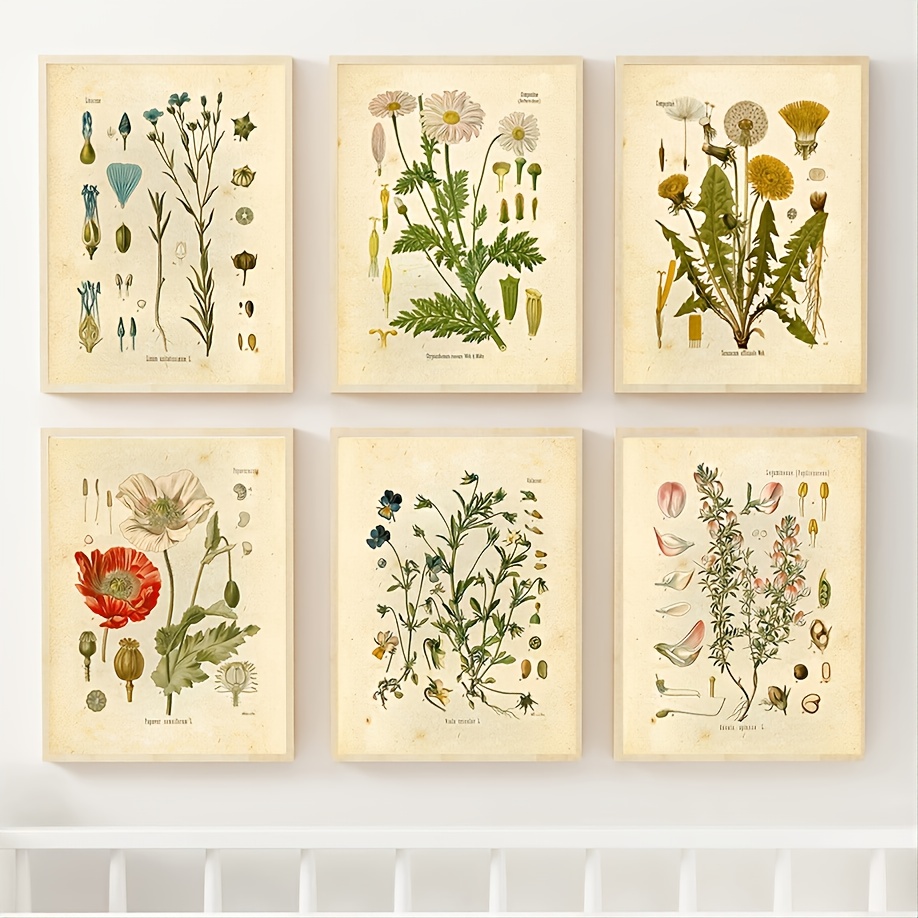 Temu | Explore the Latest Clothing, Beauty, Home, Jewelry & More