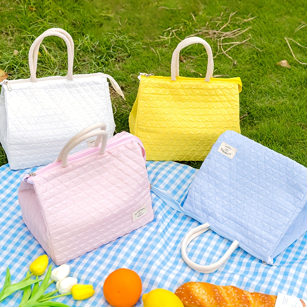 lunch bag sold on Temu United States